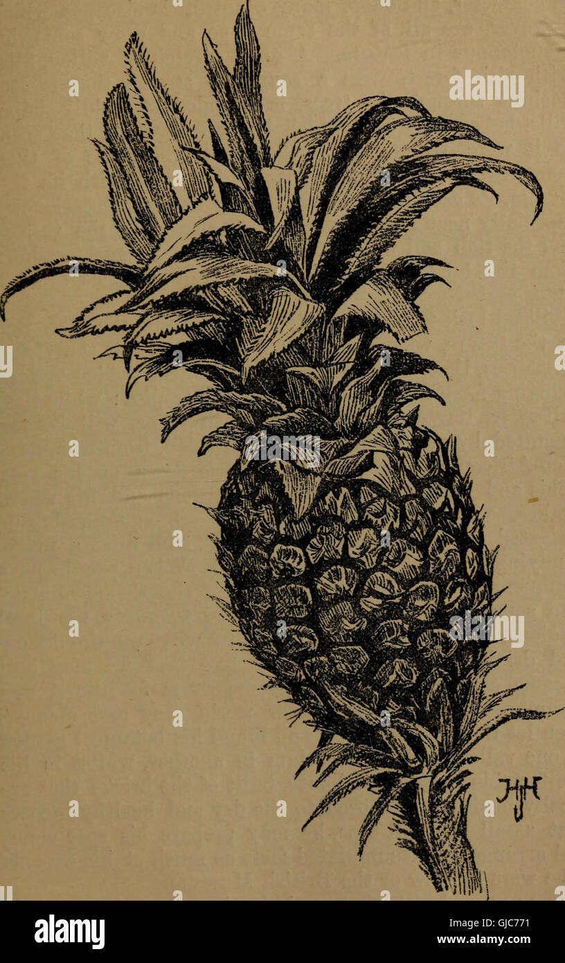 This 1895 work provides an account of the River Congo, detailing its ...