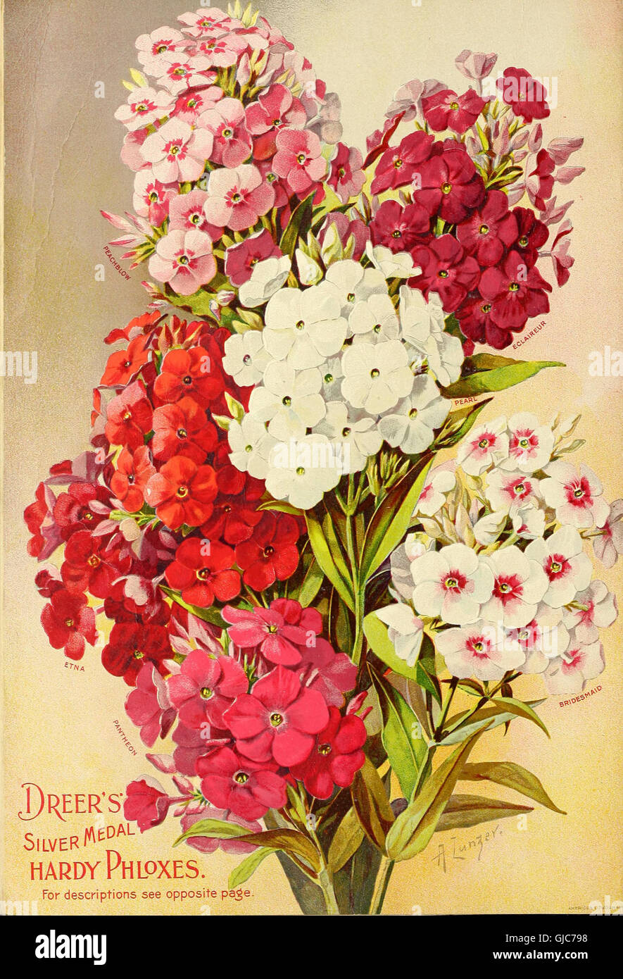 1902 calendar hi-res stock photography and images - Alamy