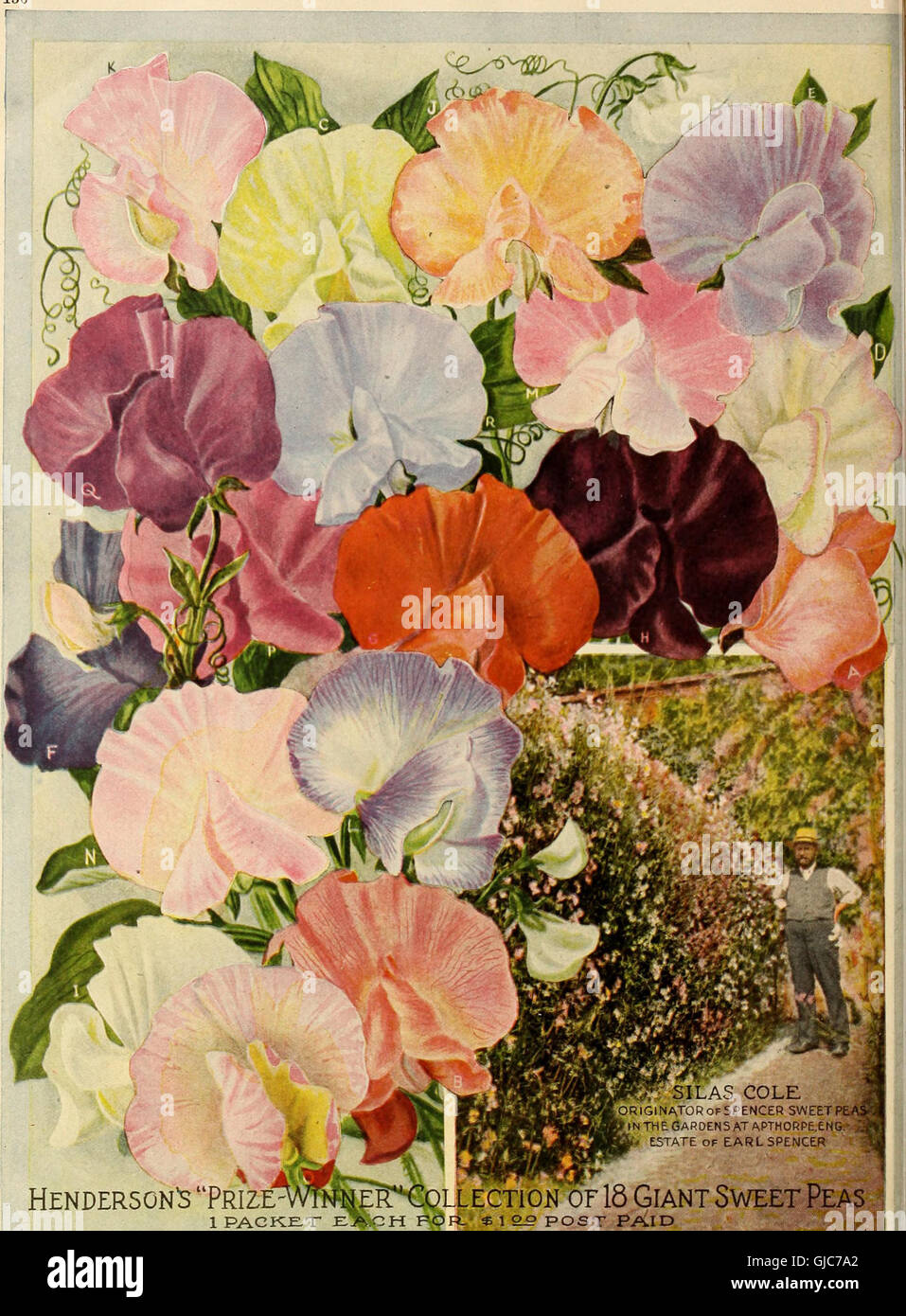 'Everything for the Garden' (1920) is a gardening reference that offers ...