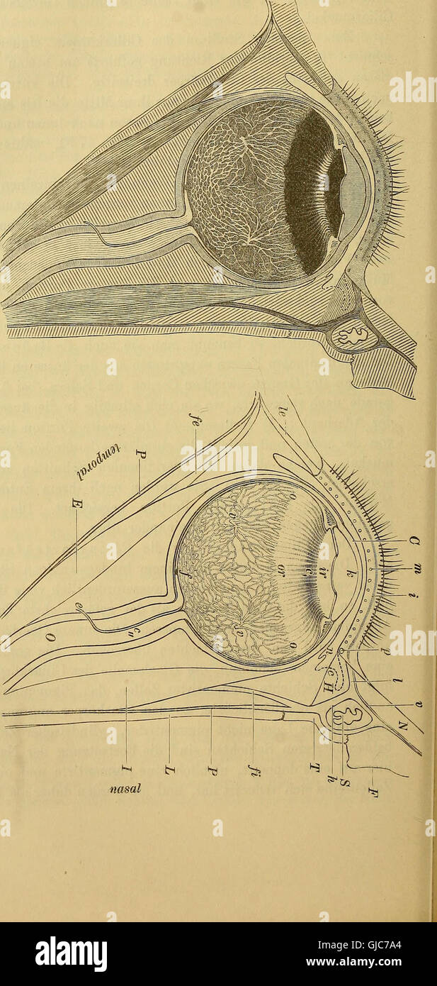 This 1891 textbook on ophthalmology provides comprehensive information ...