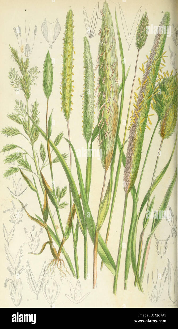 This 1858 work focuses on the identification and classification of ...