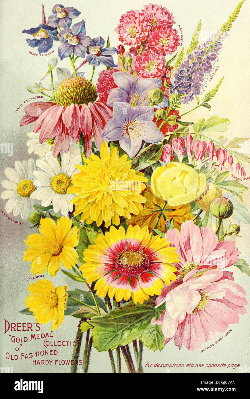 A 1902 garden calendar by Dreer, providing seasonal planting advice ...