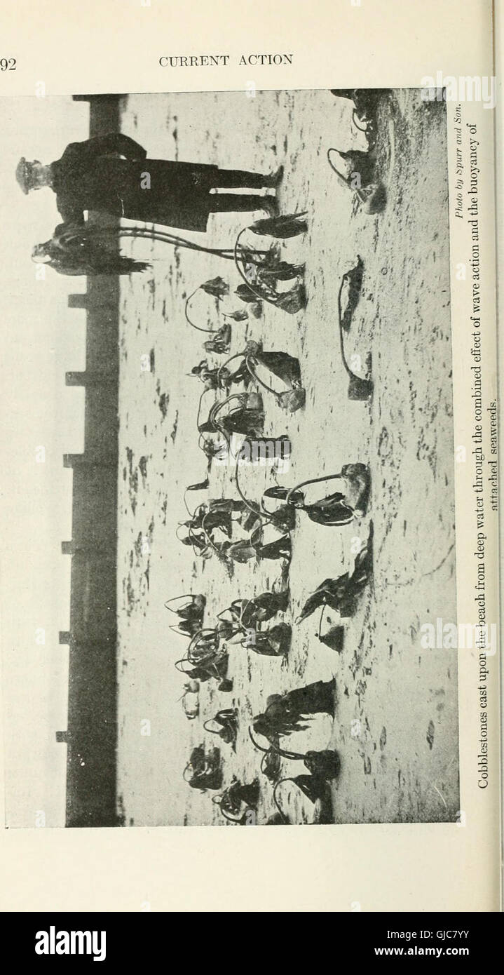 This 1919 study examines the natural processes shaping shorelines ...