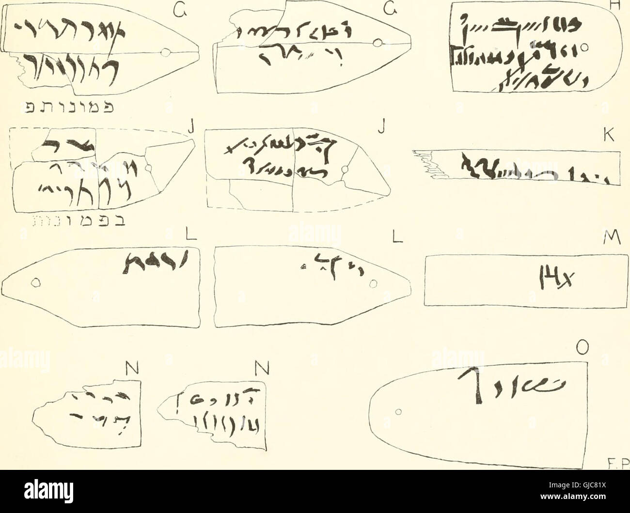 'Meydum and Memphis (III)' (1910) offers a scholarly exploration of the ...