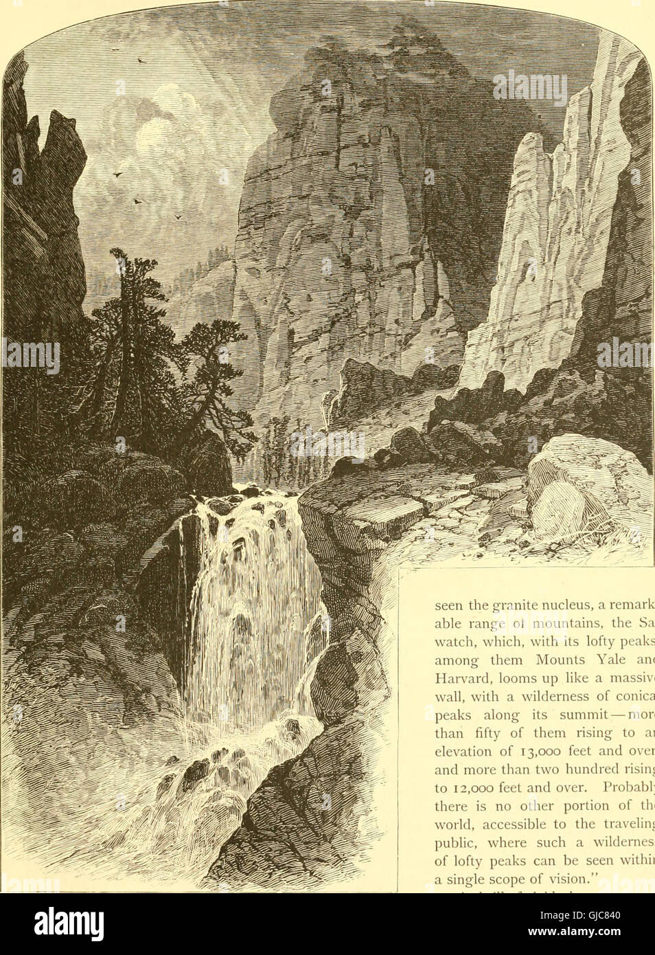 This 1878 publication presents detailed descriptions and illustrations ...