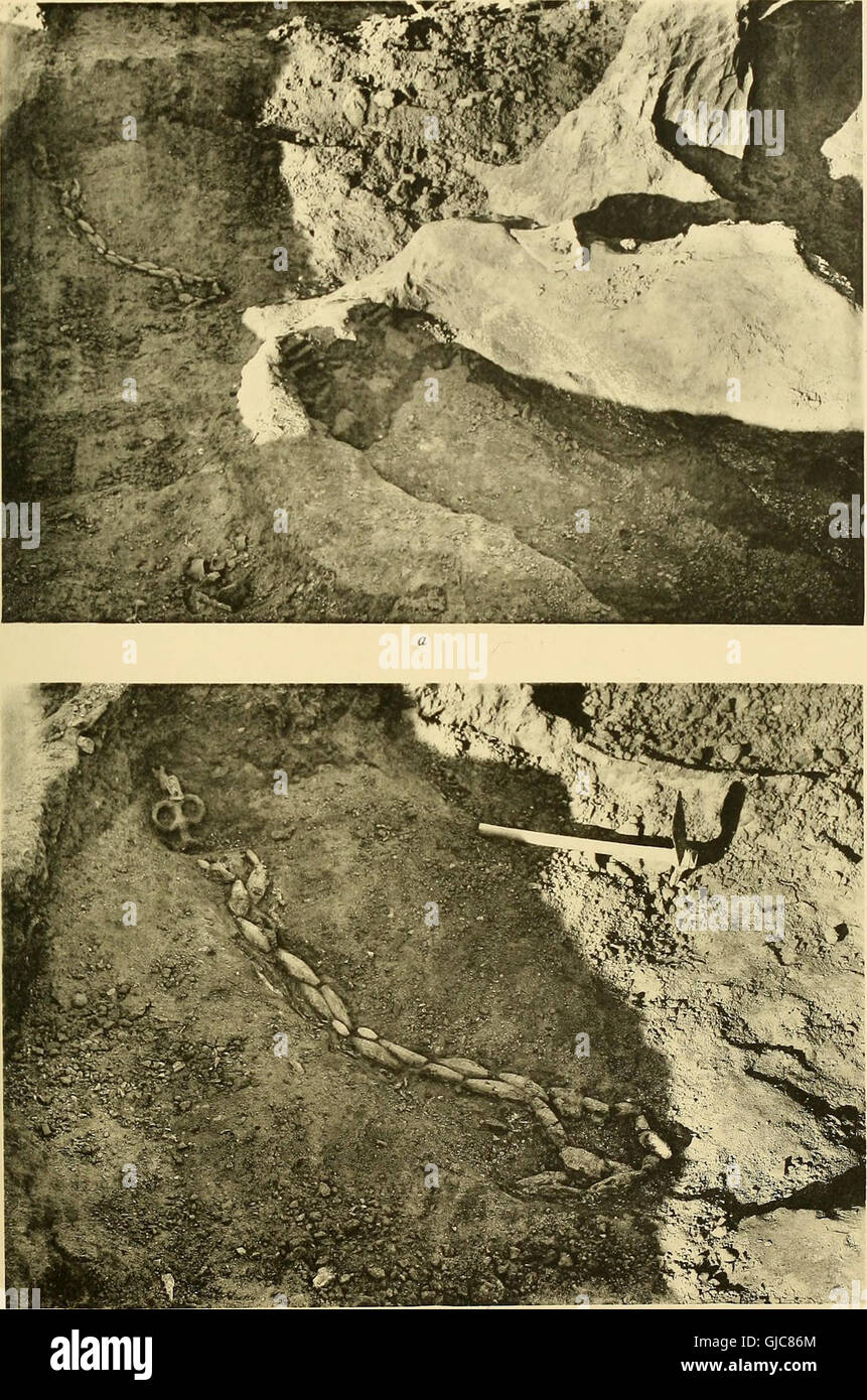 The 'Ur Excavations' report (1900) covers the archaeological ...
