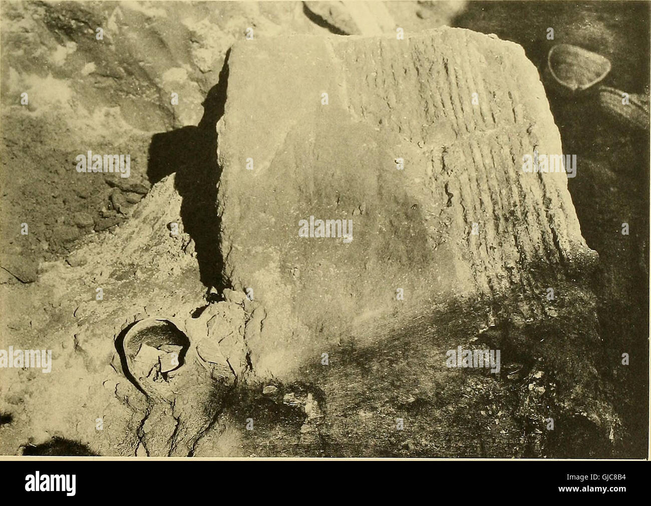 *Ur Excavations* (1900) details the archaeological digs at the ancient ...