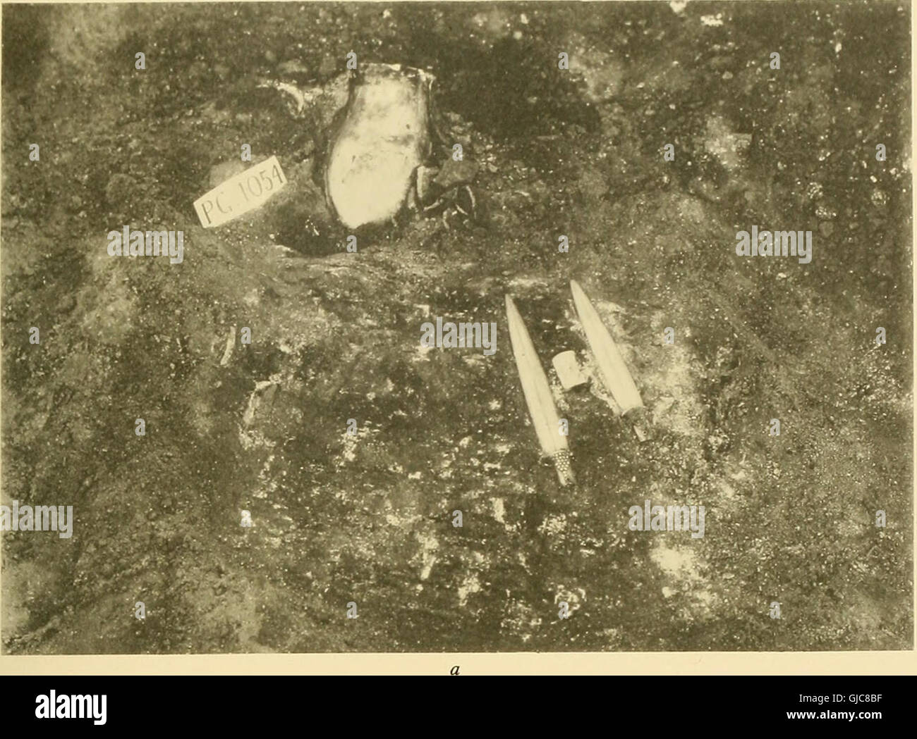 *Ur Excavations* (1900) documents the archaeological digs in the ...