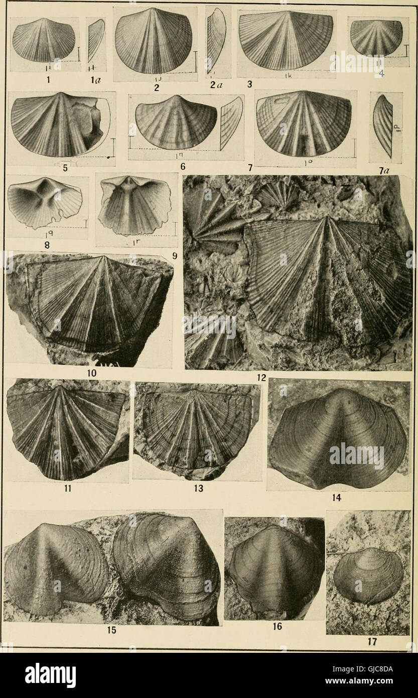 The *Smithsonian Miscellaneous Collections* (1924) encompasses a broad ...
