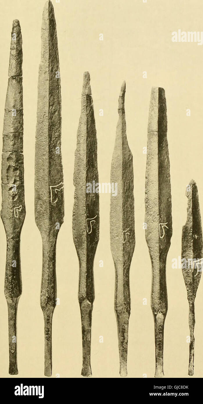 The 1900 publication details the excavations of the ancient city of Ur ...