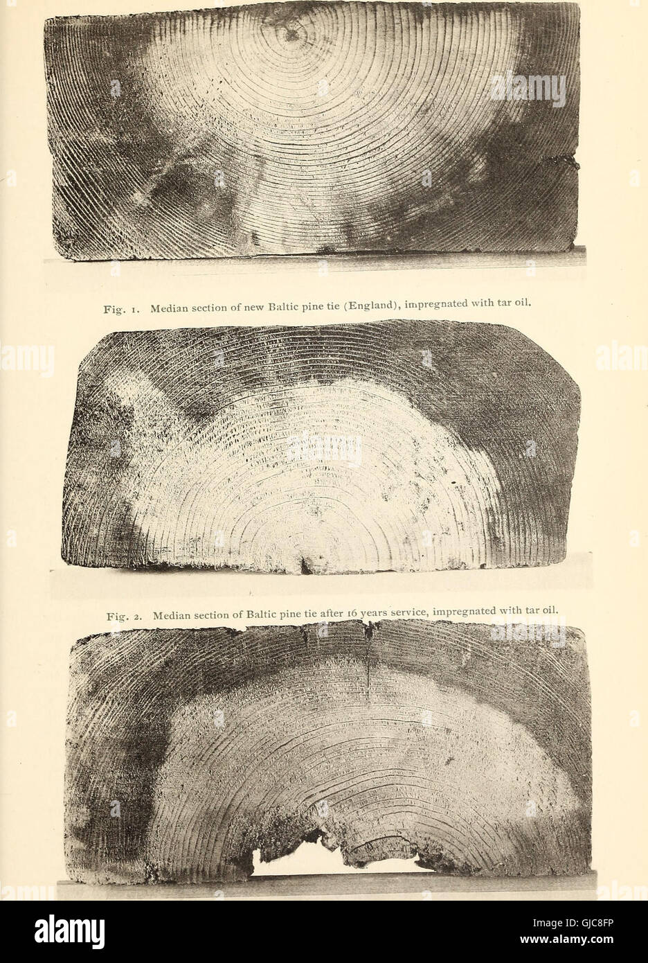 A study from 1902 on the causes of timber decay and methods for ...