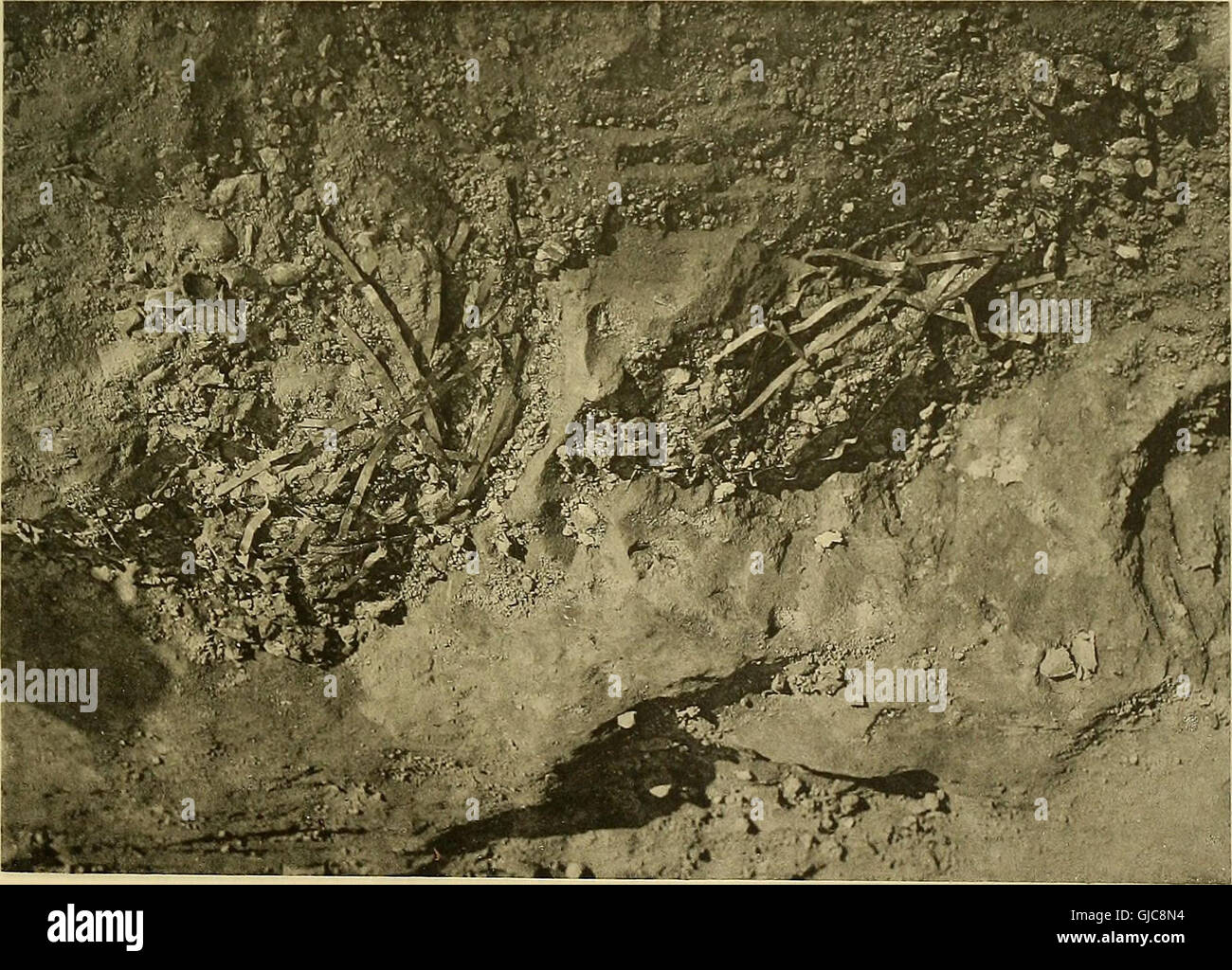 'Ur Excavations' (1900) details the archaeological findings from the ...