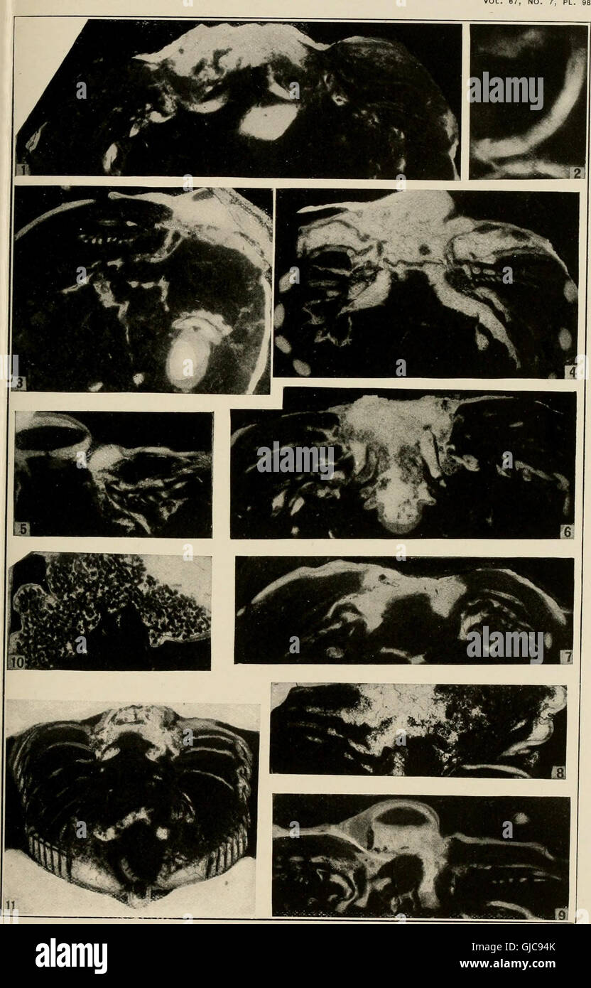 The 1924 edition of the Smithsonian Miscellaneous Collections includes ...