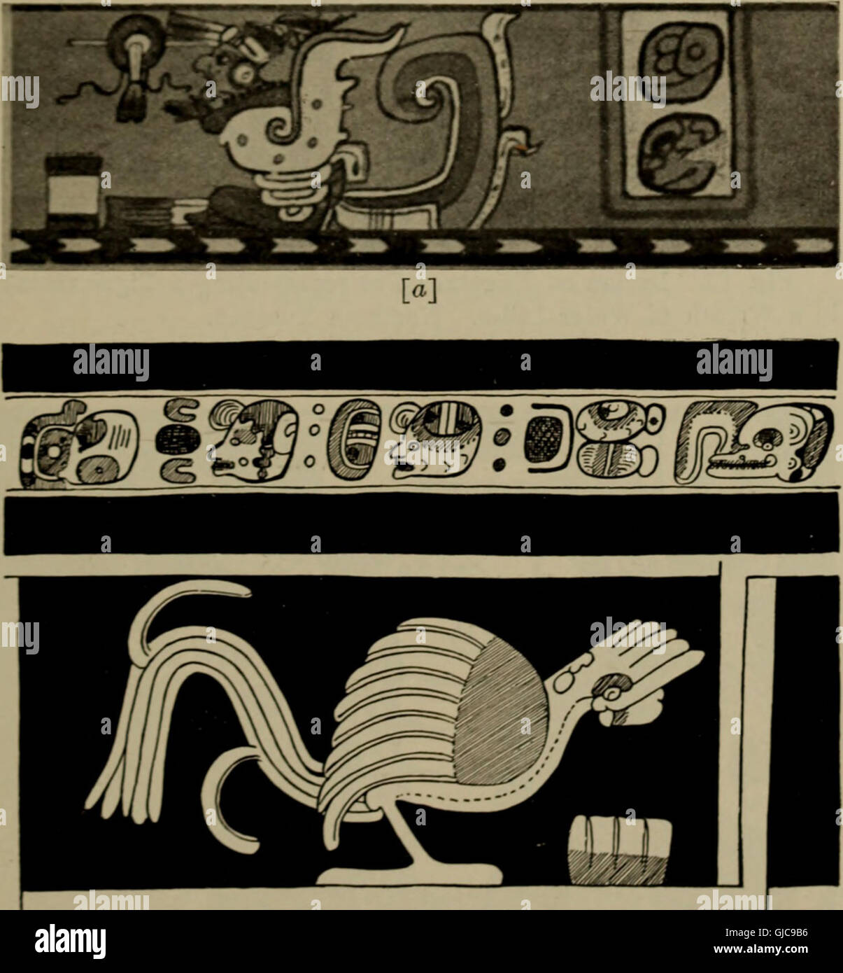 Ancient Civilizations of Mexico and Central America (1943) provides a ...