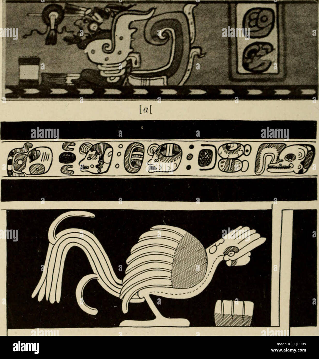 'Ancient Civilizations of Mexico and Central America' (1917) explores ...