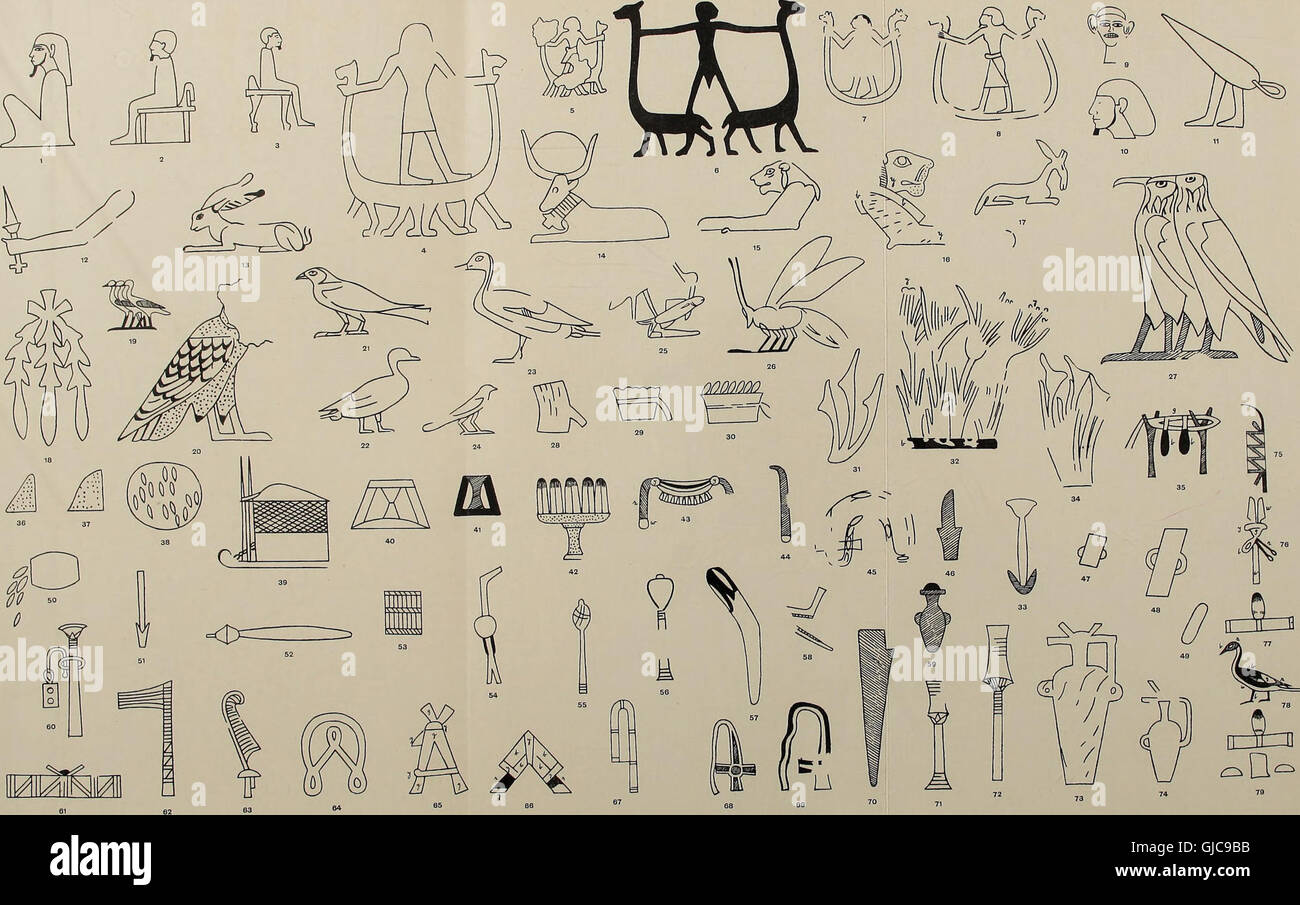 The 'Archaeological Survey of Egypt Memoir' (1893) presents detailed ...