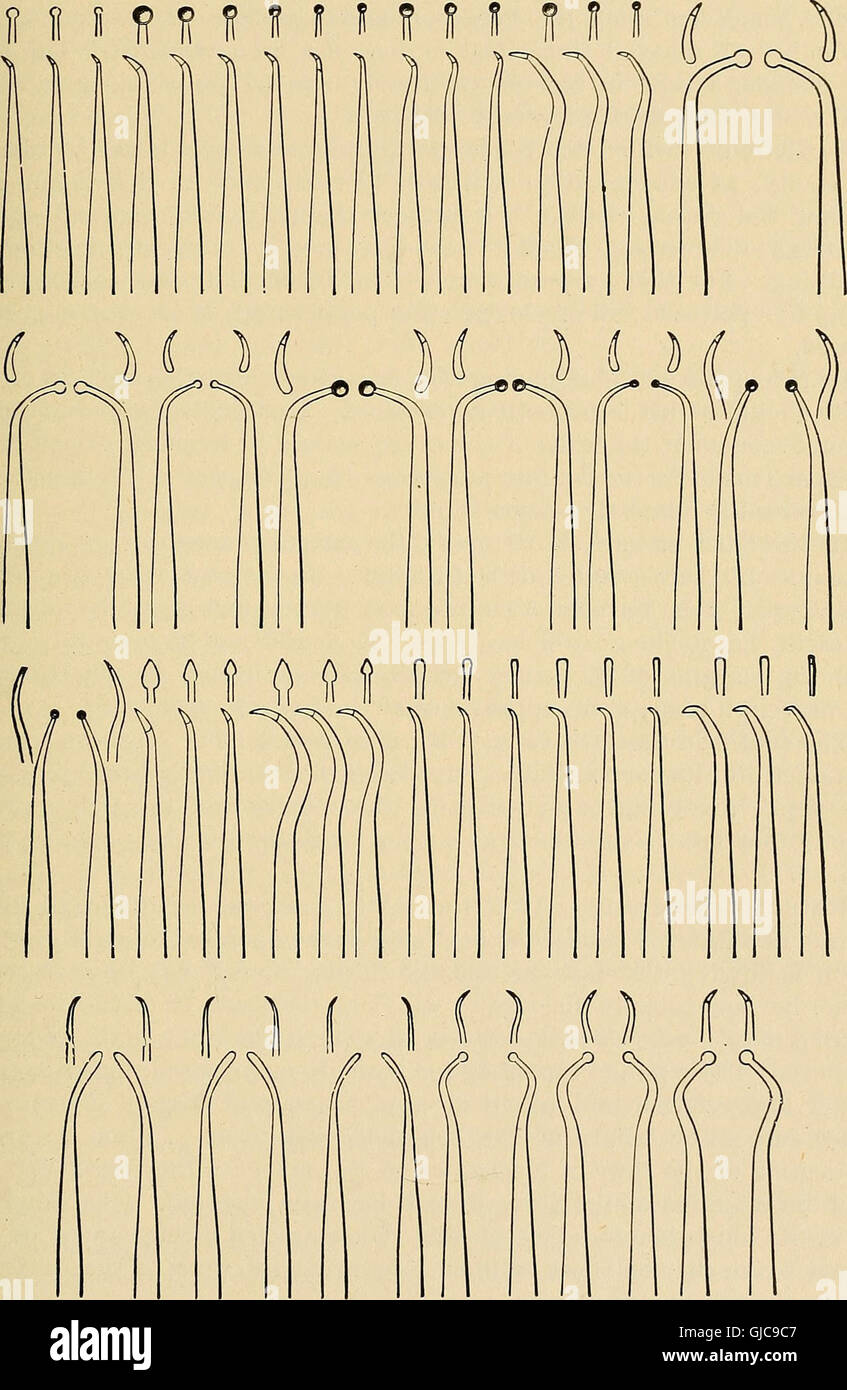 Principles and practice of operative dentistry (1920 Stock Photo - Alamy
