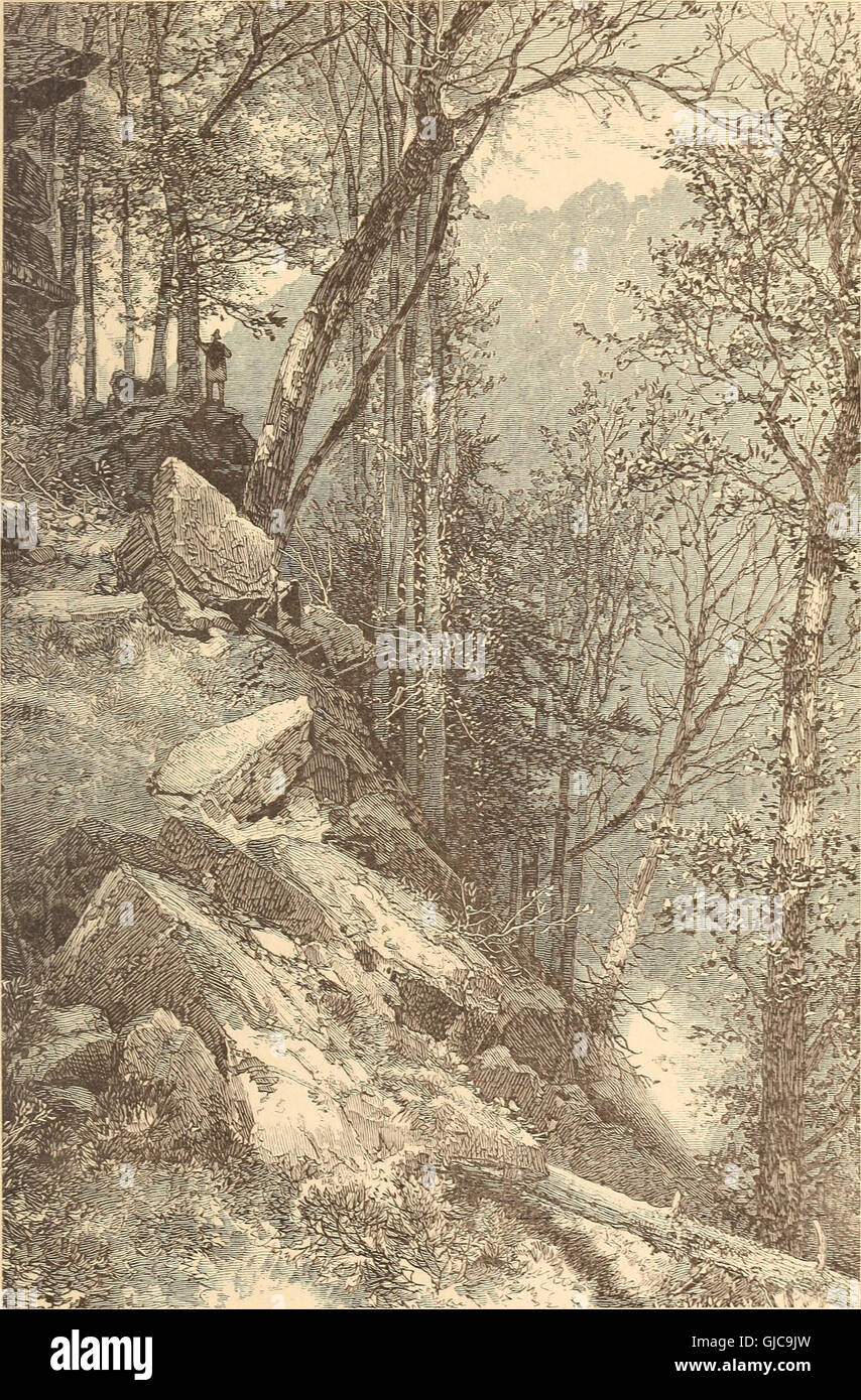 *The Back-Woodsmen* (1883) is a collection of historical narratives ...
