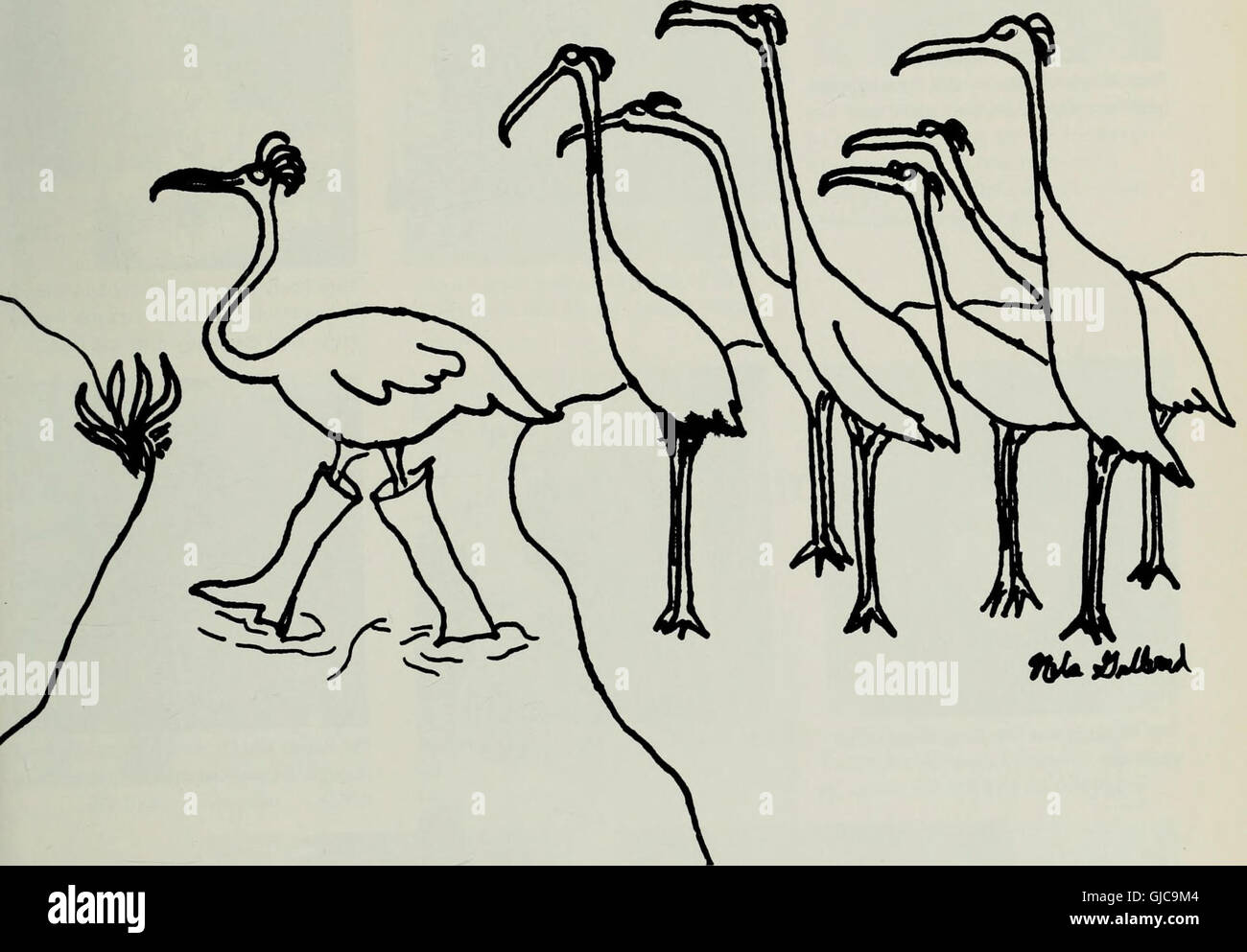 'U and I' (1979) is a reflective work by author Nicholson Baker ...