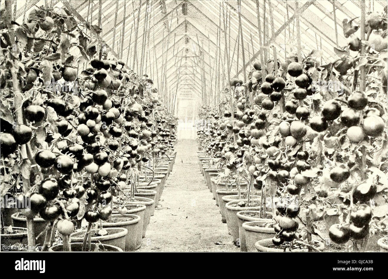 The Century Book of Gardening, published in 1900, is a detailed guide ...