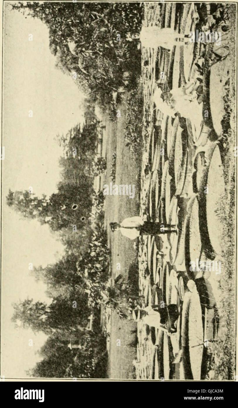 The American Botanist is a monthly journal published from 1901 to 1948 ...