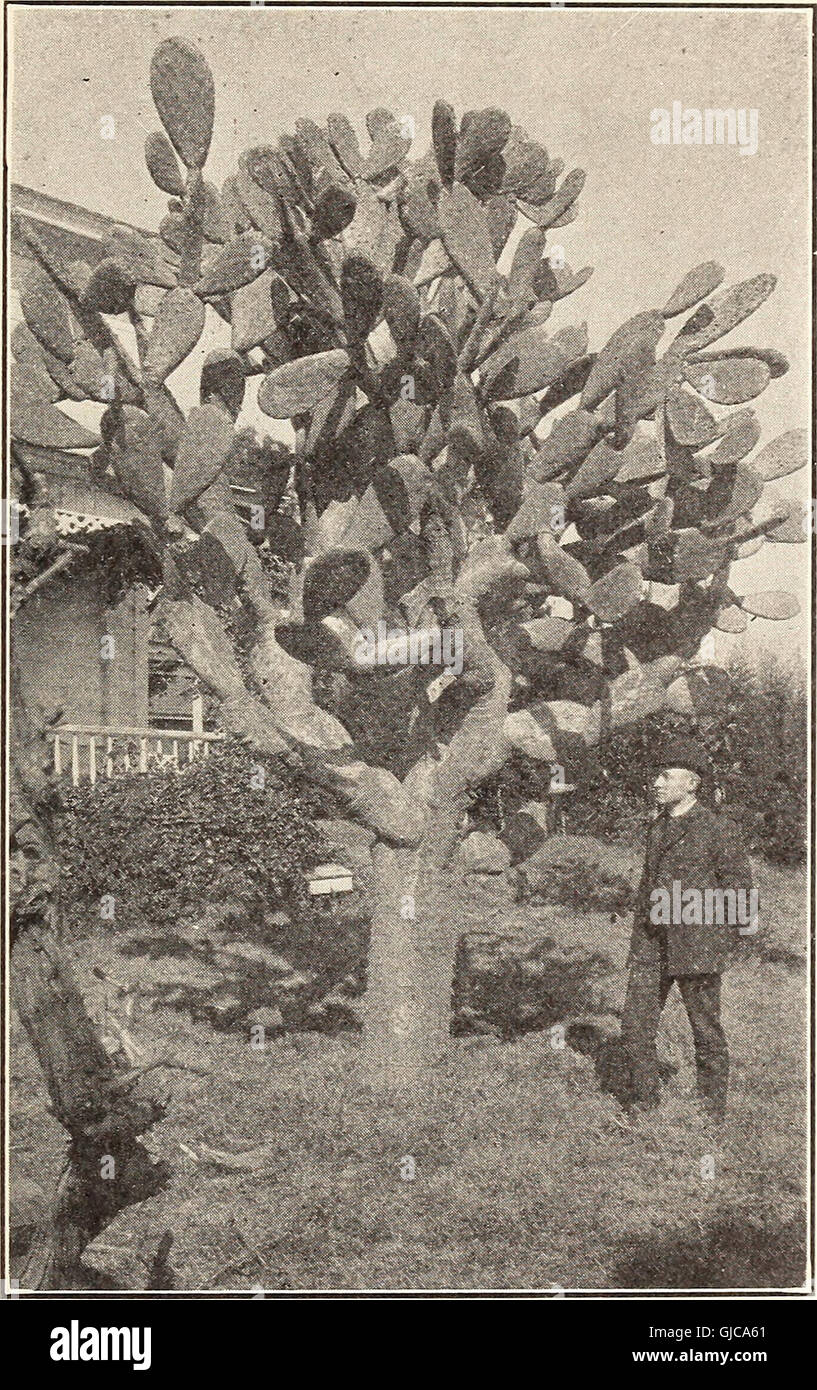 This 1913 journal, *The American Botanist*, was dedicated to plant ...