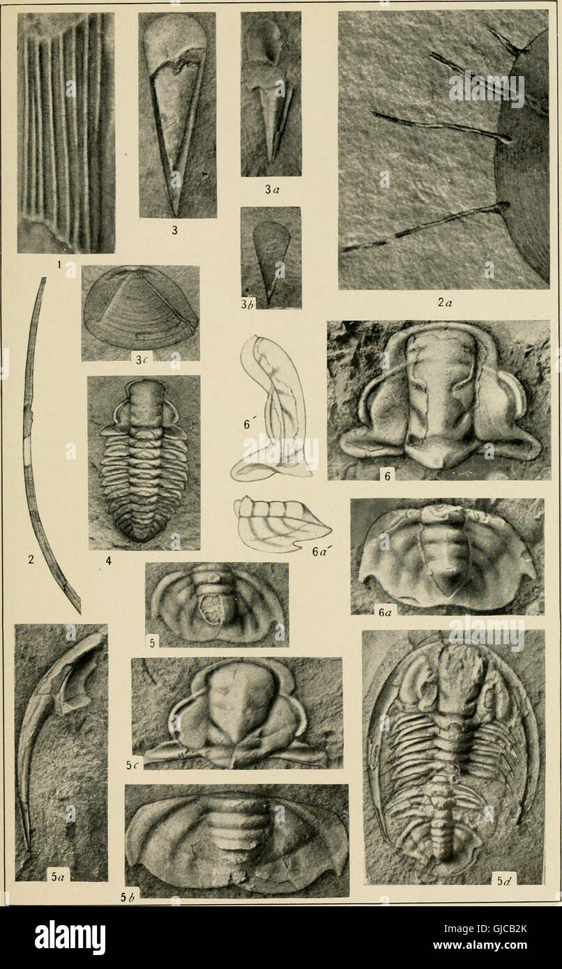 The 1924 edition of the Smithsonian Miscellaneous Collections is a ...