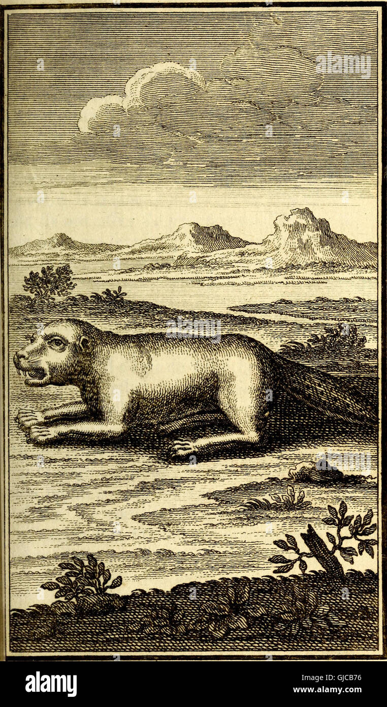 'Histoire de l'Amérique Septentrionale' (1753) is a comprehensive four ...