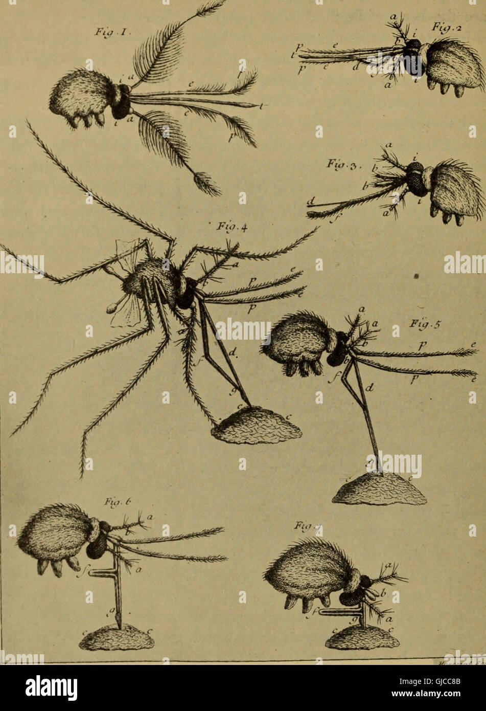This 1901 guide leaflet offers concise information on a specific ...