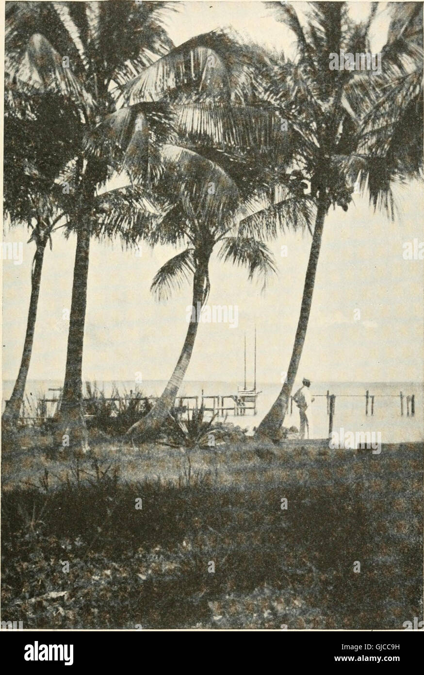 'What to see in America' (1919) offers a guide to notable tourist ...