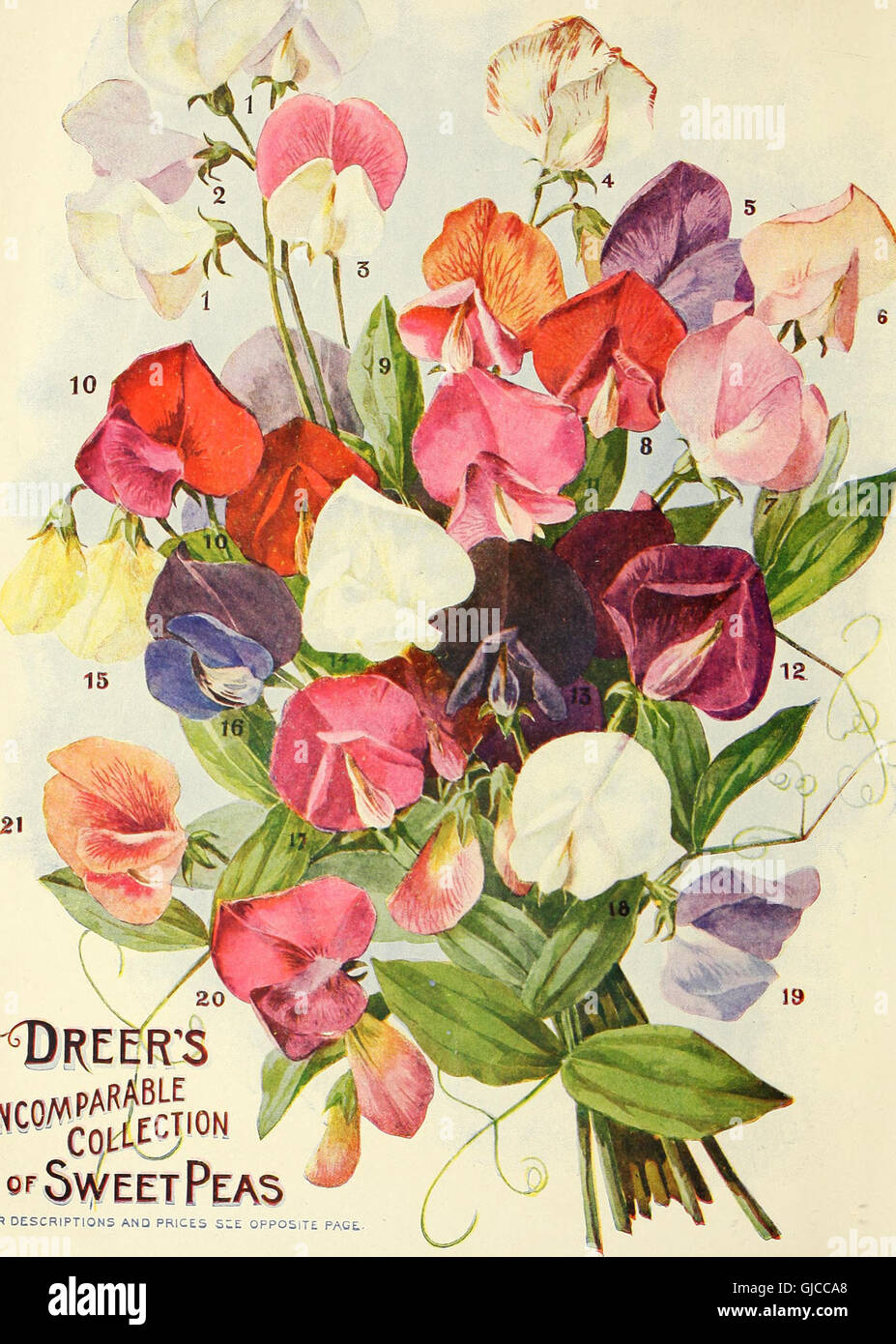 1902 calendar hi-res stock photography and images - Alamy