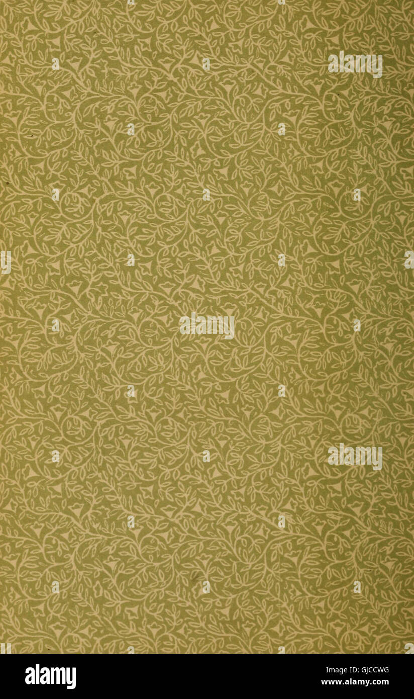 'The Ansons in Asiatic Temples' (1885) details the travels and ...