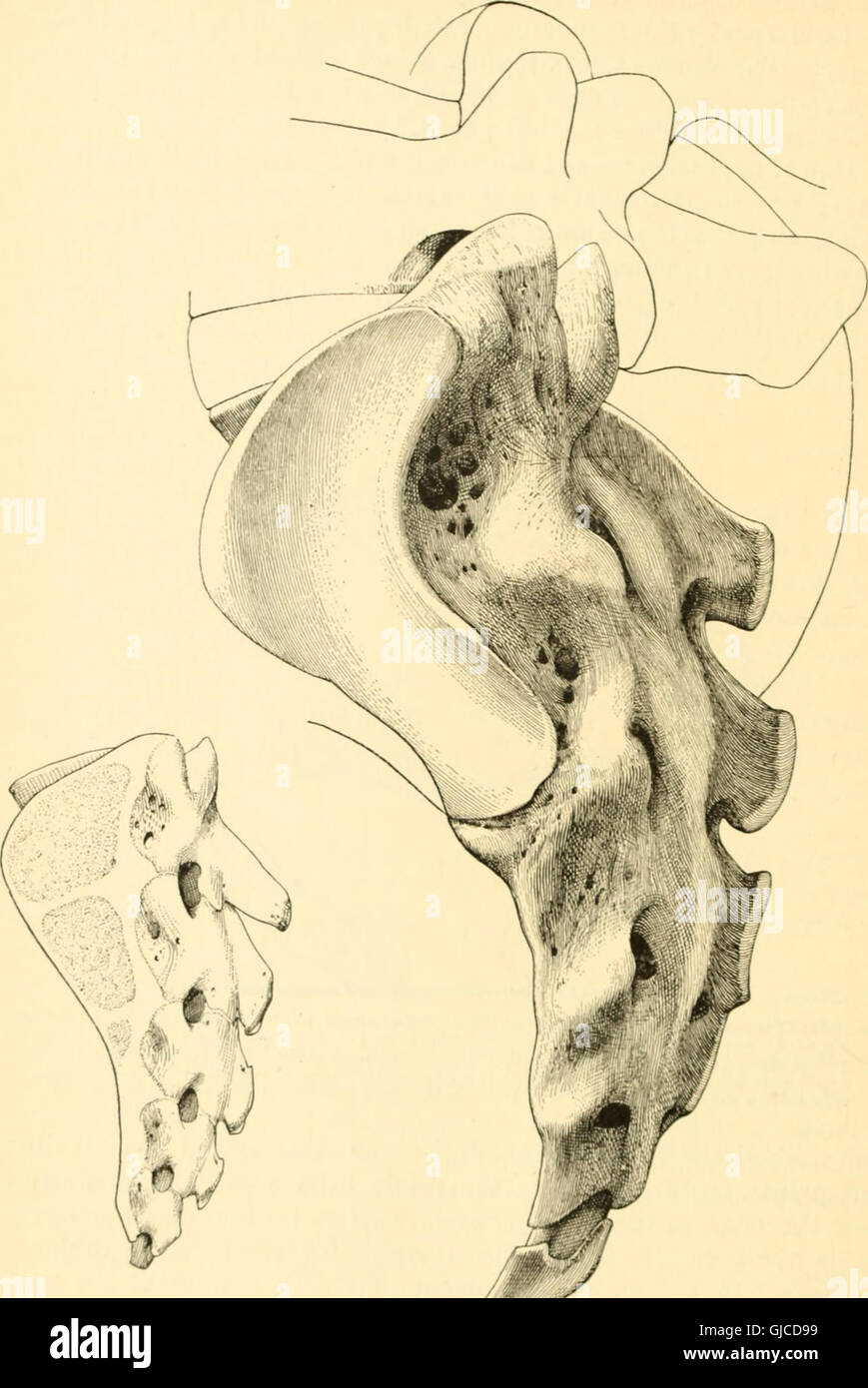 This 1897 textbook provides a comprehensive guide to the science and ...
