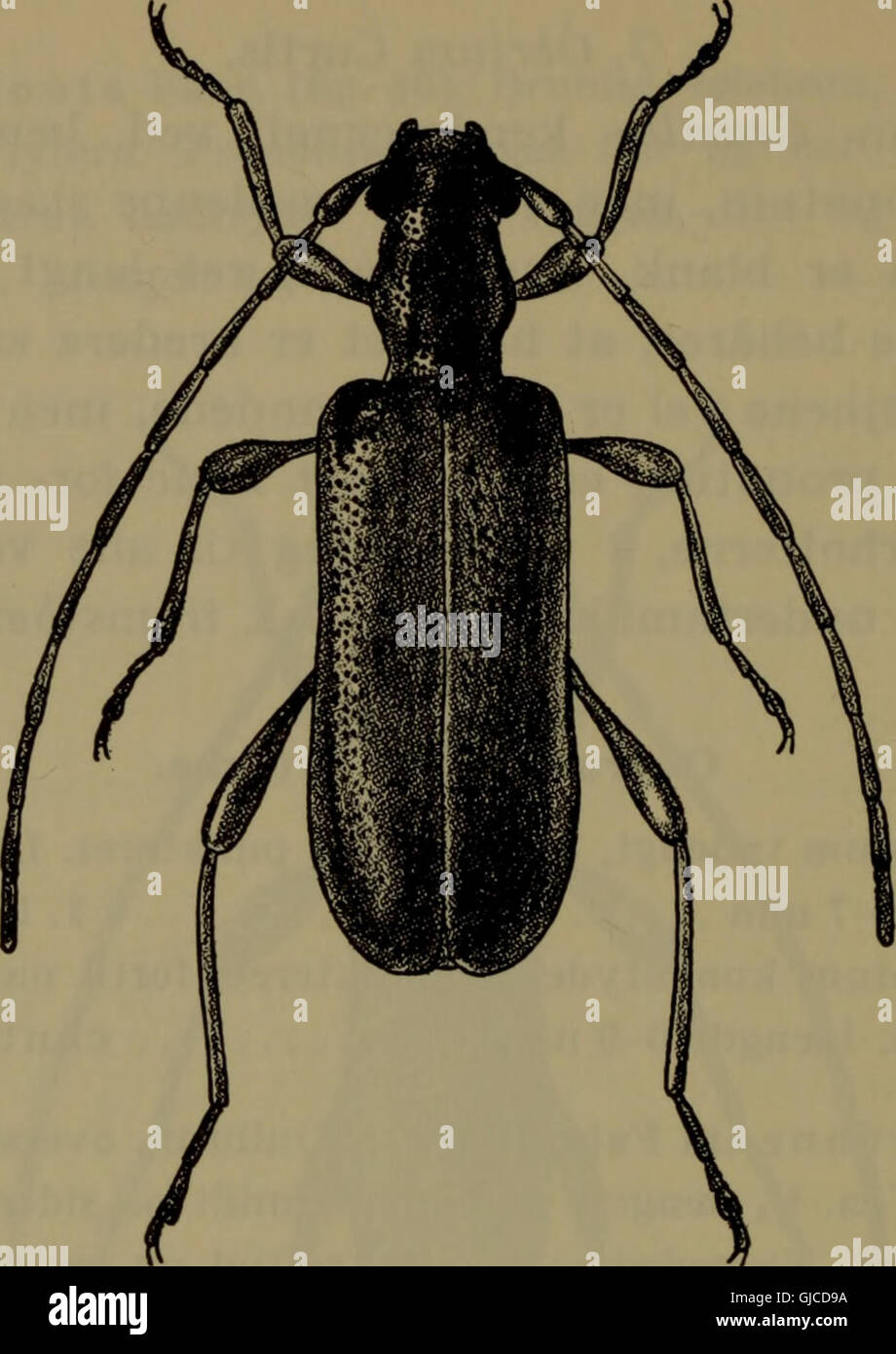 This 1907 Danish work provides an illustrated guide to the fauna of ...
