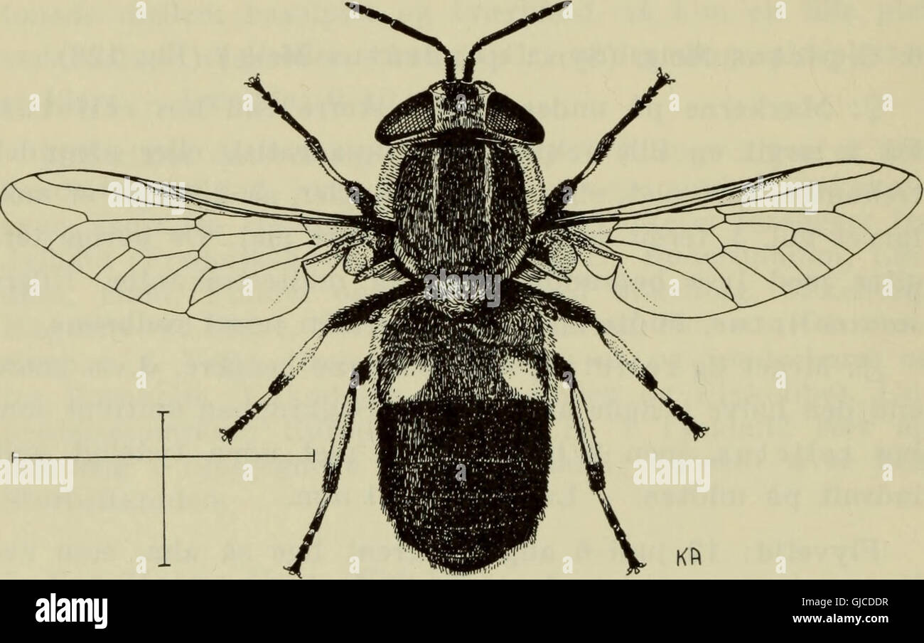 *Danmarks Fauna*, published in 1907, is an illustrated guide covering ...