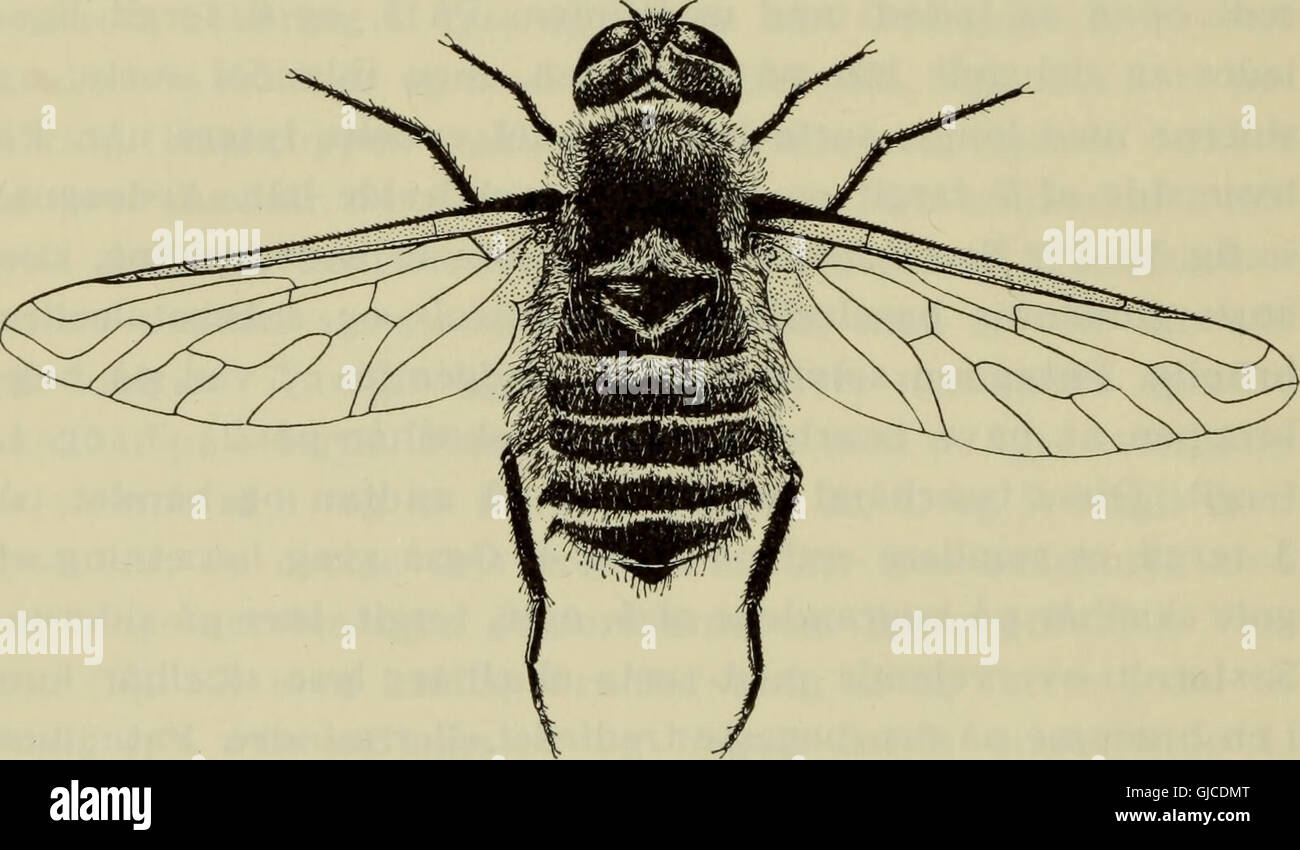 'Danmarks Fauna' (1907) is an illustrated guide to the fauna of Denmark ...