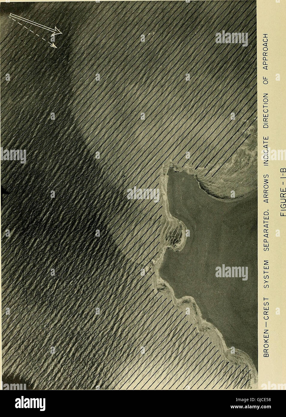 The 1947 Bulletin of the Beach Erosion Board reports on coastal erosion ...