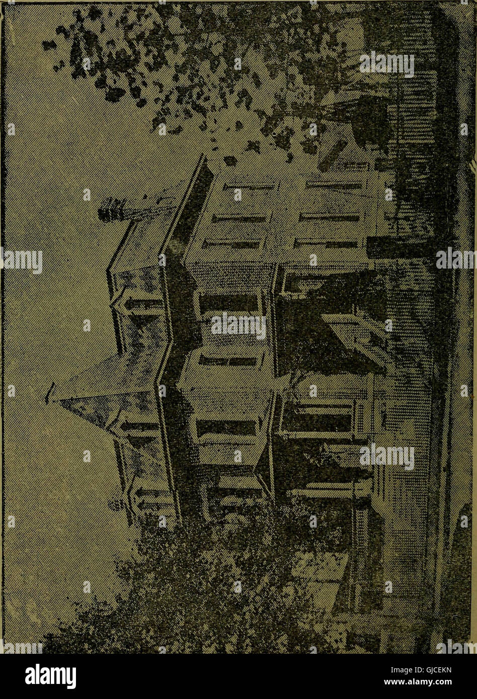 The 'Pictorial Review of the City of Paris and Lamar County' (1885) is ...