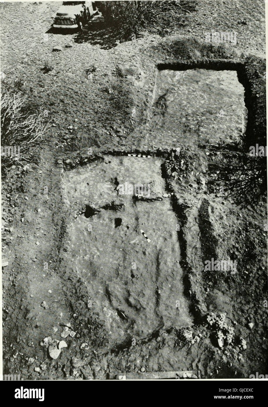 This 1962 work delves into the early history and prehistory of eastern ...