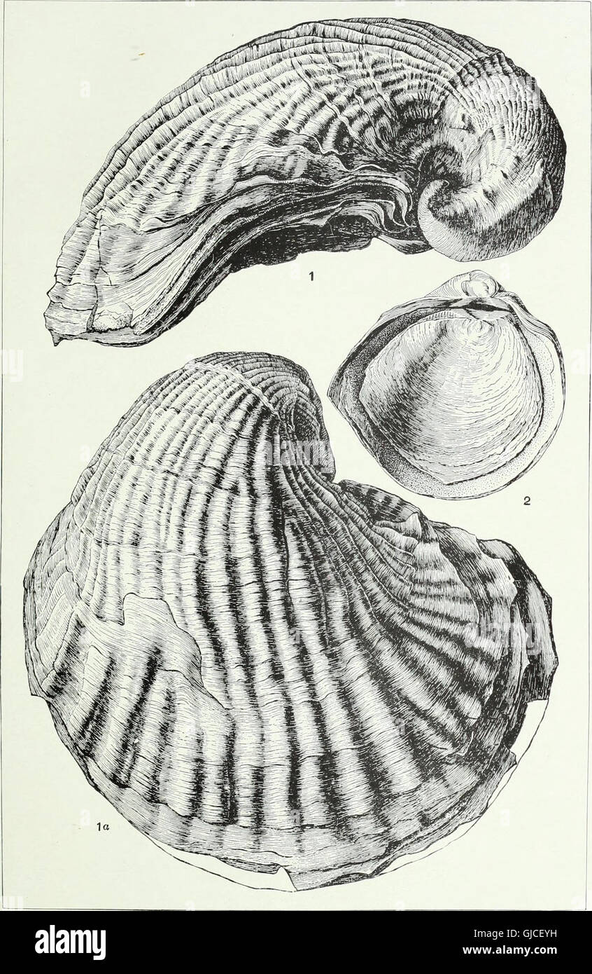 The *Annual Report of the United States Geological Survey* (1899 ...
