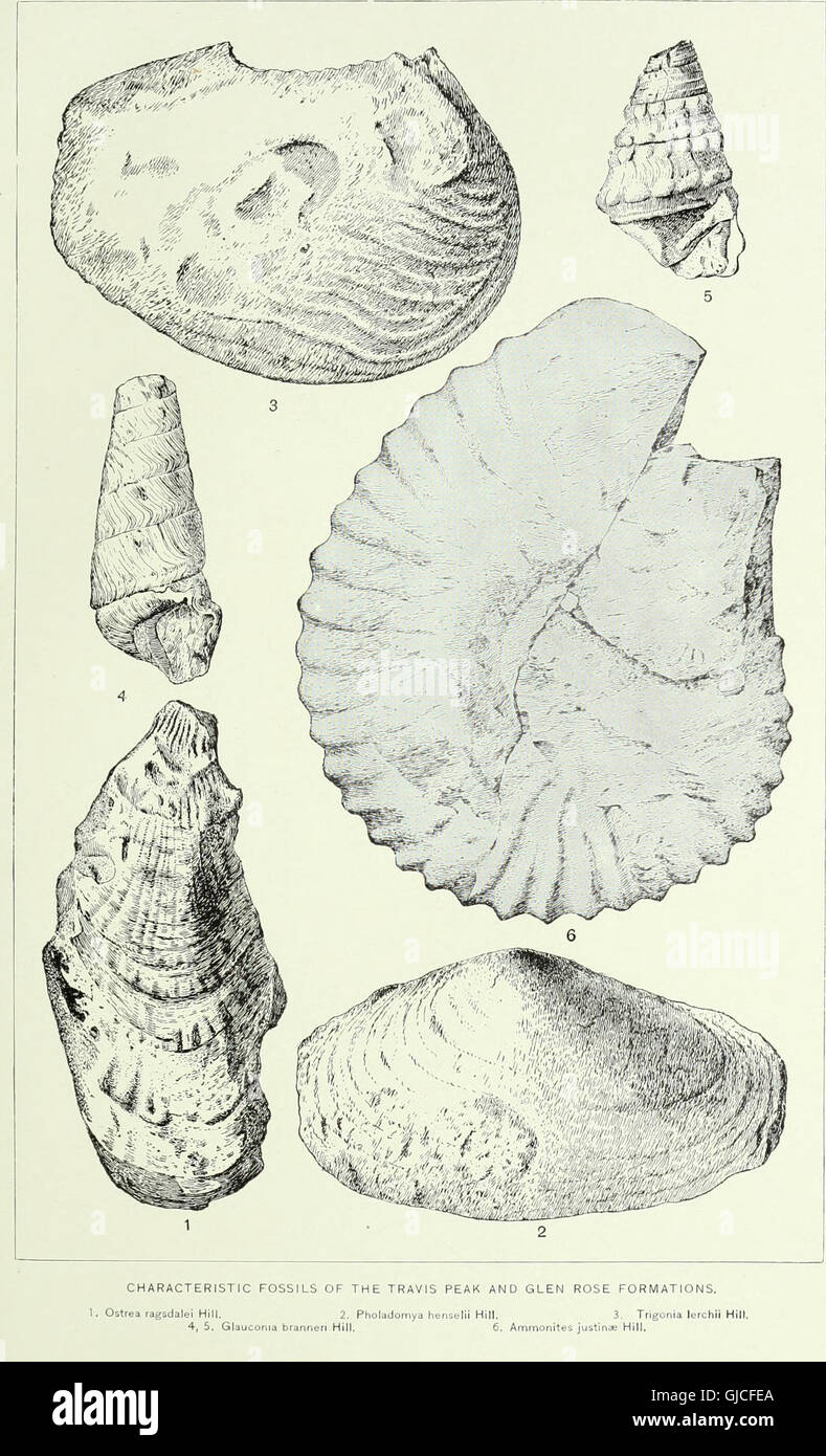 This report from the U.S. Geological Survey details geological studies ...