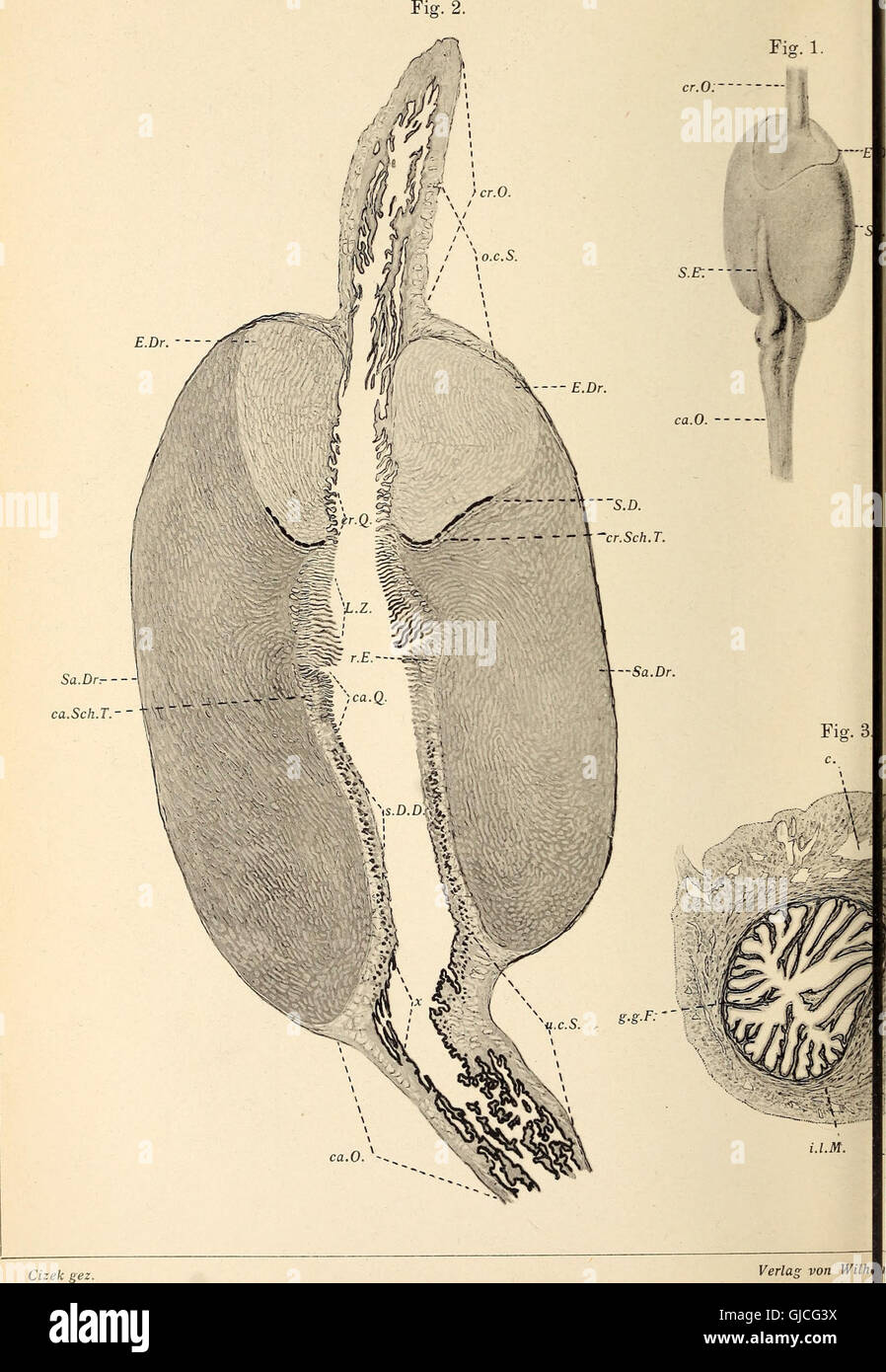 A 1906 scientific journal focusing on zoology, featuring research and ...
