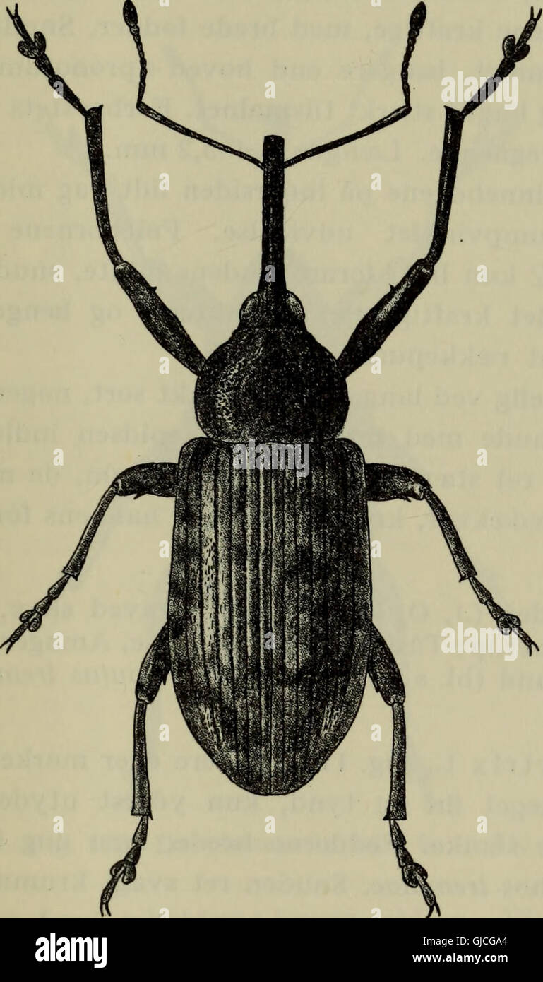 'Danmarks Fauna' (1907) is a comprehensive illustrated guide to the ...