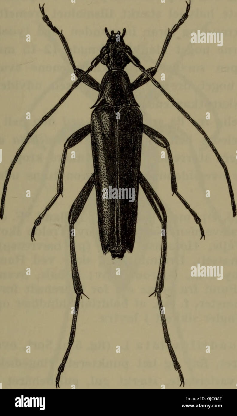Danmarks Fauna (1907) is an illustrated guide to the animal life of ...
