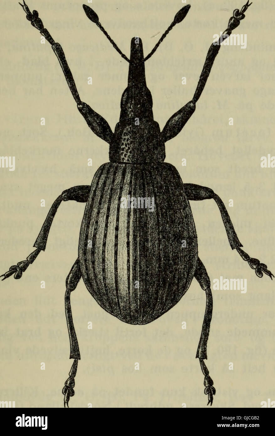 Danmarks Fauna (1907) is an illustrated guide to the fauna of Denmark ...