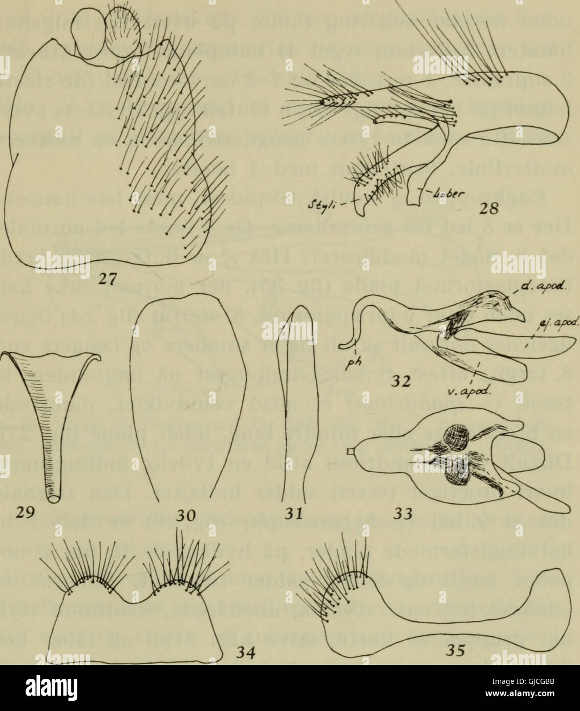 Danmarks Fauna (1907) is a comprehensive guide to the animal life of ...