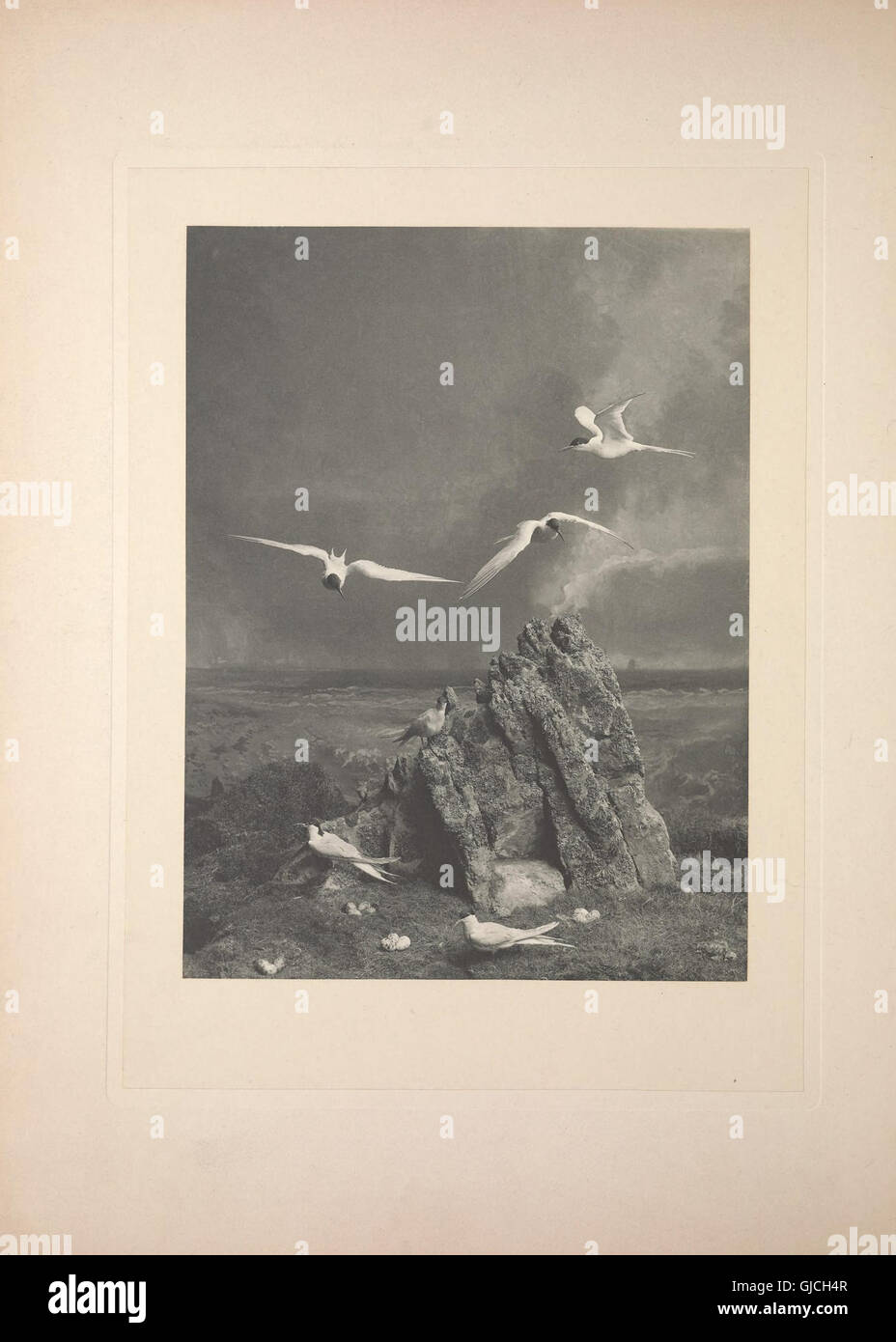 Platinotype hi-res stock photography and images - Alamy