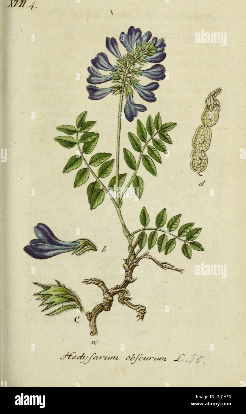 *Deutschlands Flora in Abbildungen Nach Der Natur* (1806) is a ...