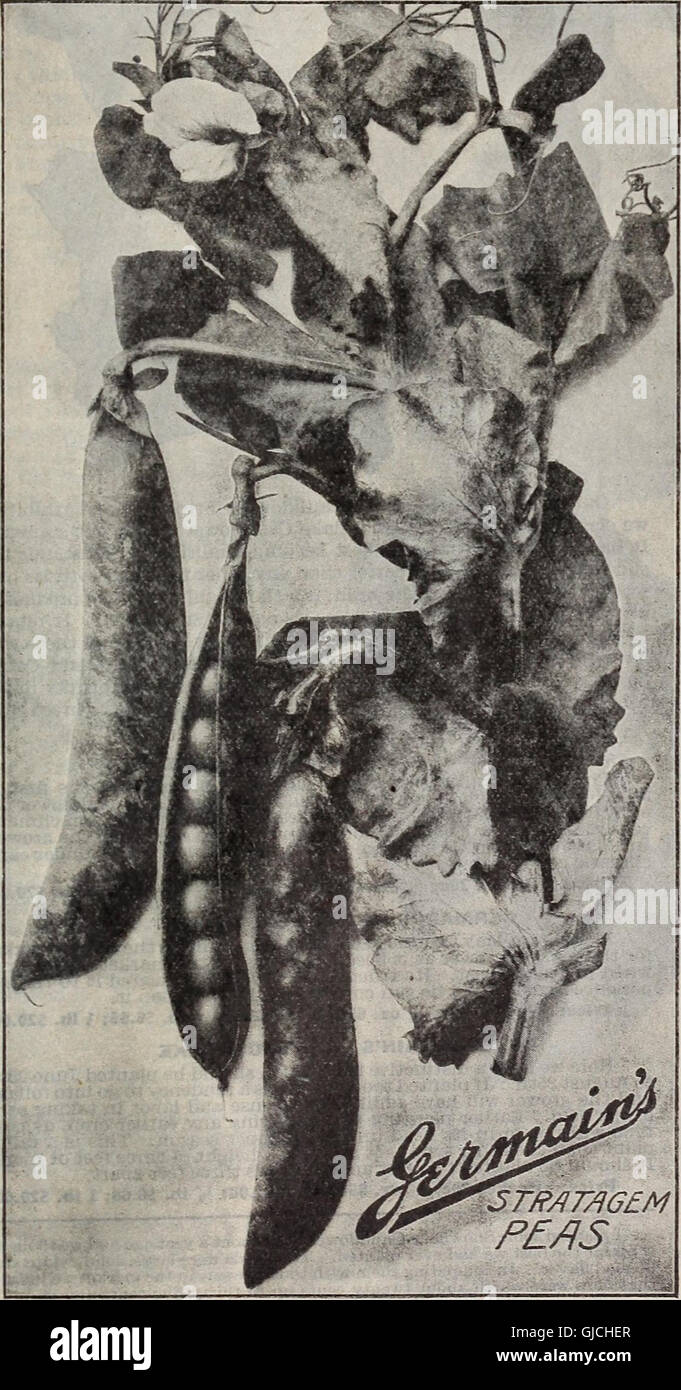 *Germain* (1922) is a catalog showcasing works related to the artist ...