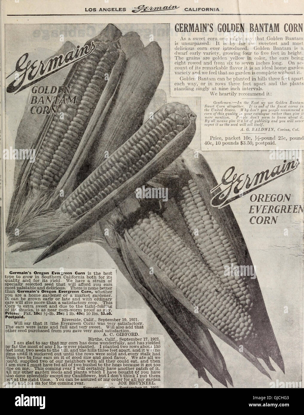 This 1922 catalog showcases a selection of works by the artist Germain ...